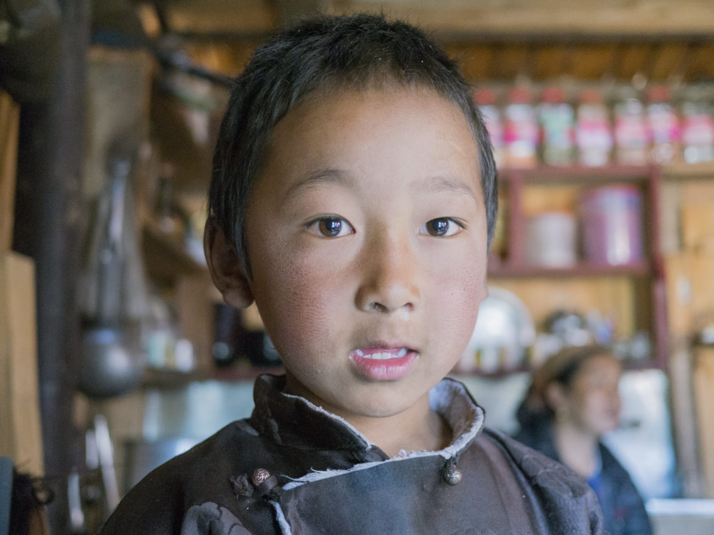 Curiosity over fear | An article written by Pranav Kale